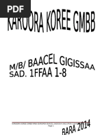 Karoora Guyyaa | PDF