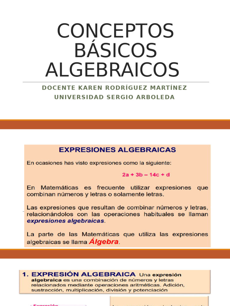 Conceptos Básicos Algebraicos | PDF