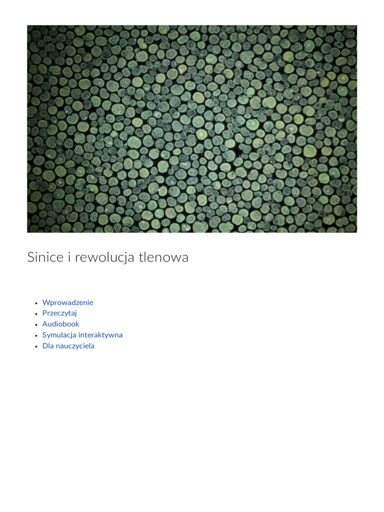 Sinice I Rewolucja Tlenowa | PDF