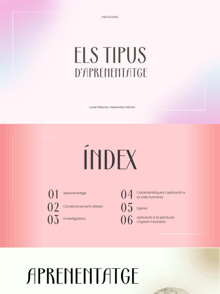 Els Tipus D'aprenentatge | PDF