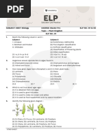 Plant Kingdom NCERT | PDF | Spore | Ploidy