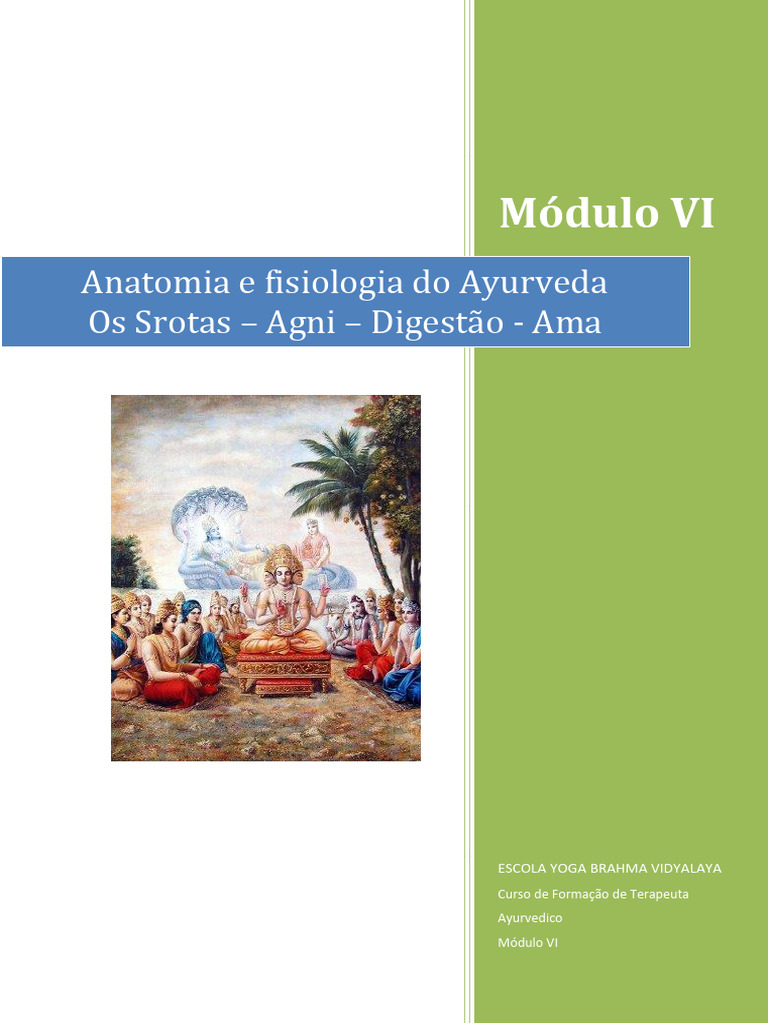 6.1 - Os srotas agni digestao ama | PDF | Corpo humano | Digestão