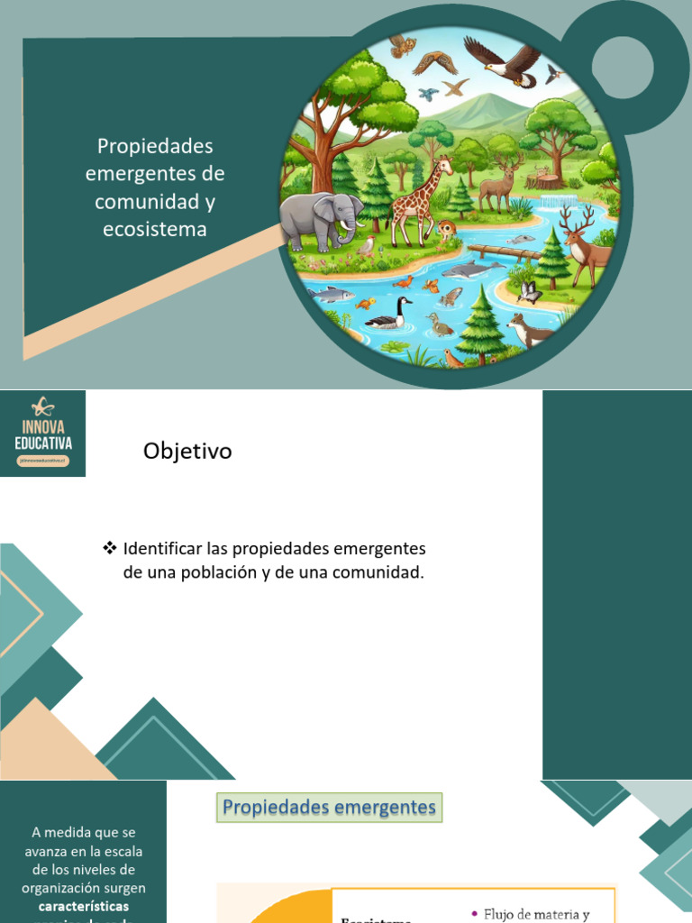 Clase 3 - Propiedades Emergentes | PDF