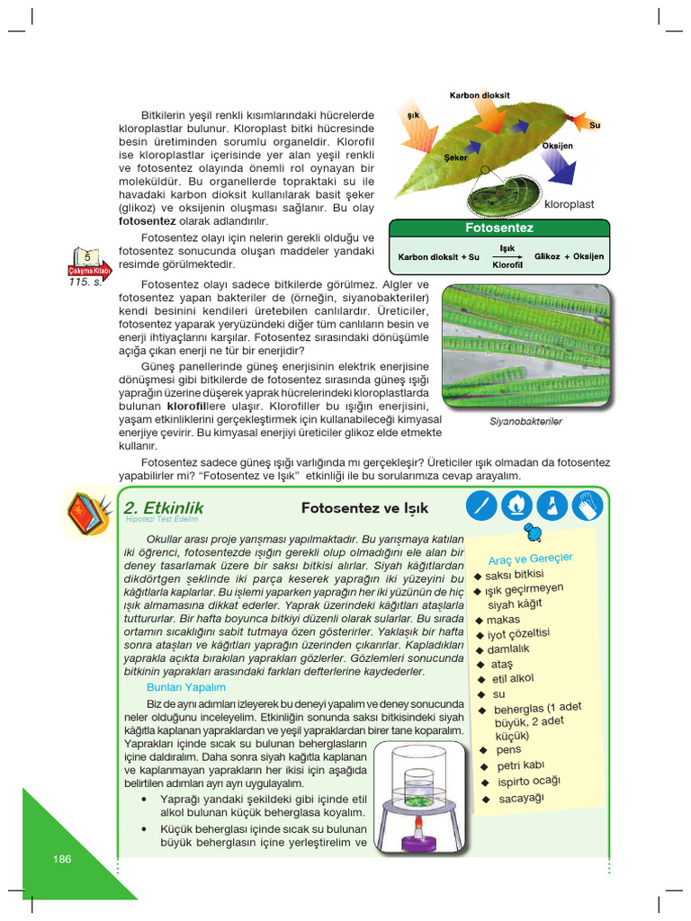 Fotosentez_Deney | PDF