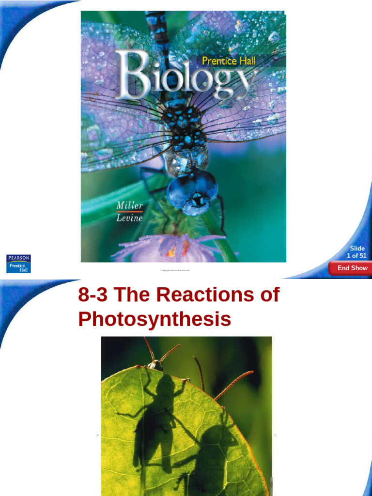 Chapter08 Section03 Edit | PDF | Photosynthesis | Chloroplast