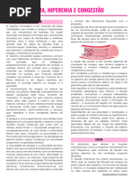 Circulação Colateral: Mecanismos, Importância Clínica e Implicações No ...