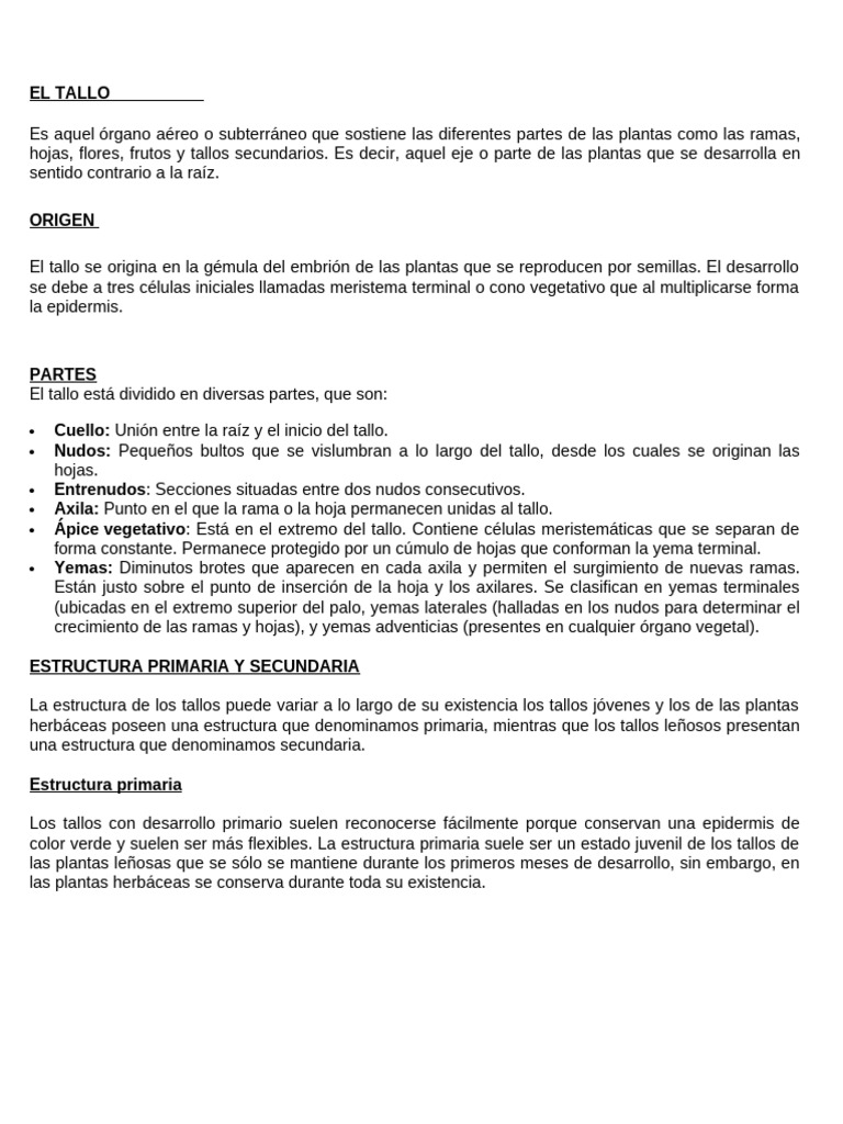 Estructura y Función del Tallo | PDF | Tallo de la planta | Raíz