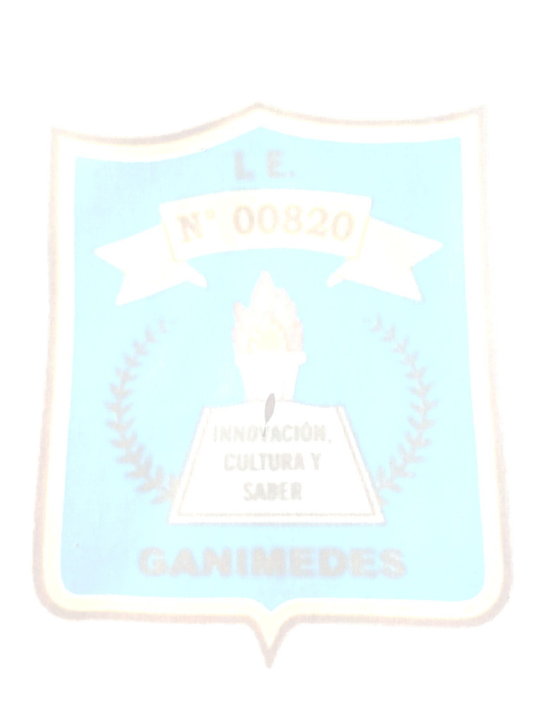 Programa Ceremonia Juramentacion de Brigadieres | PDF