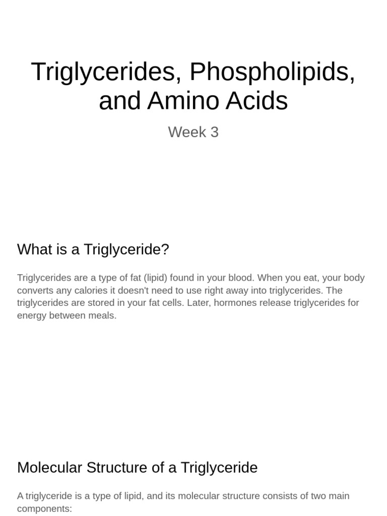 Triglycerides, Phospholipids, and Amino Acids | PDF | Cell Membrane ...
