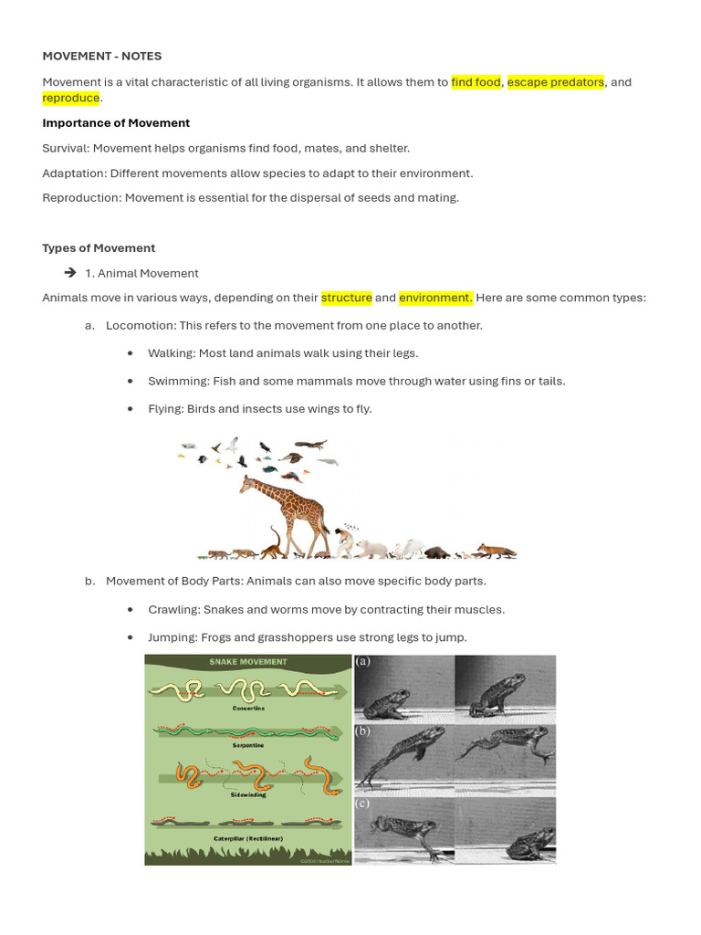 Movement Notes | PDF