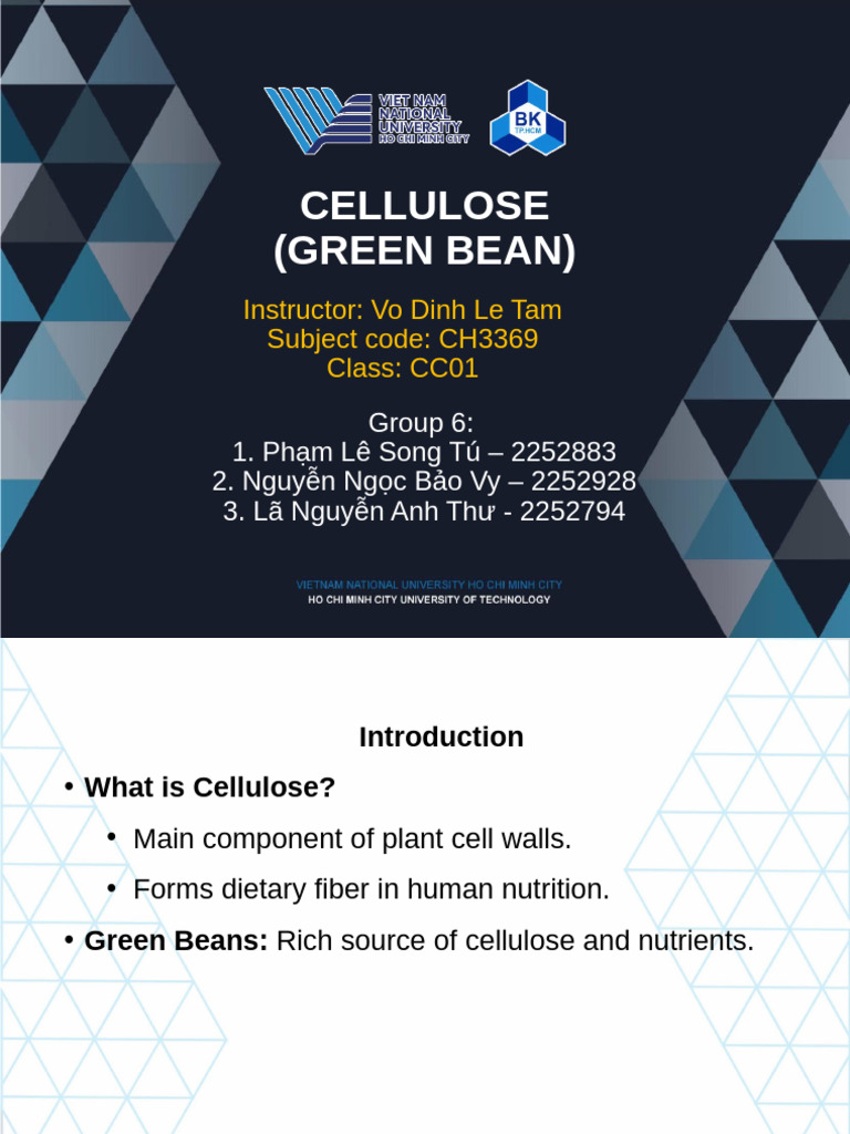Health Benefits of Cellulose in Green Beans | PDF | Dietary Fiber ...
