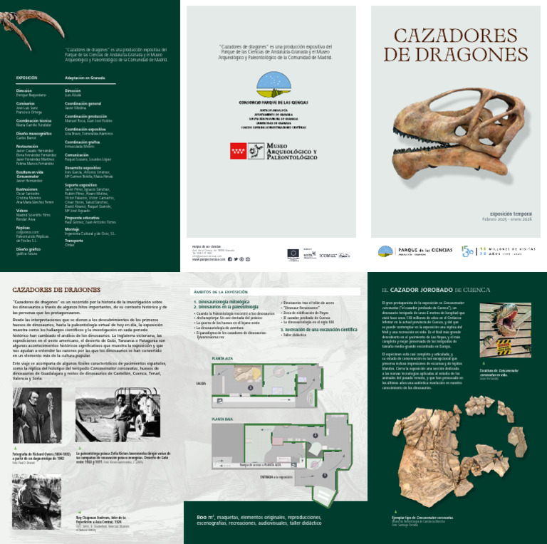 Triptico Cazadores Dragones 2025 | PDF | Dinosaurios | Dinosaurios Mesozoicos