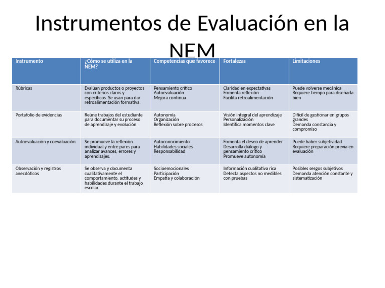 Instrumentos Evaluacion NEM | PDF