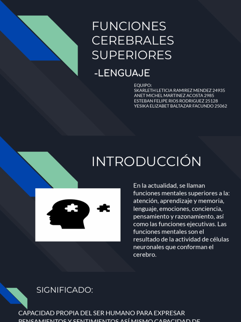 FUNCIONES CEREBRALES SUPERIORES | PDF | Afasia | Comunicación