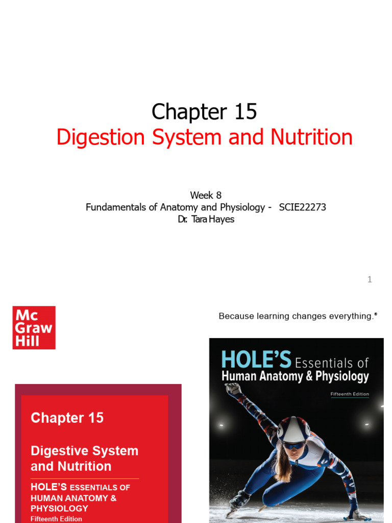 Week 8 - Chapter 15 Digestion System and Nutrition | PDF | Stomach | Liver