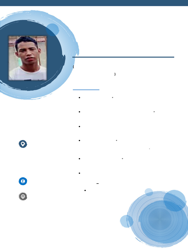 Curriculum de Amiliar Armando | PDF