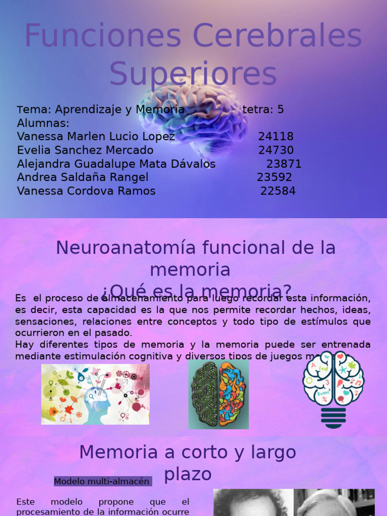 FUNCIONES CEREBRALES | PDF | Memoria | Aprendizaje