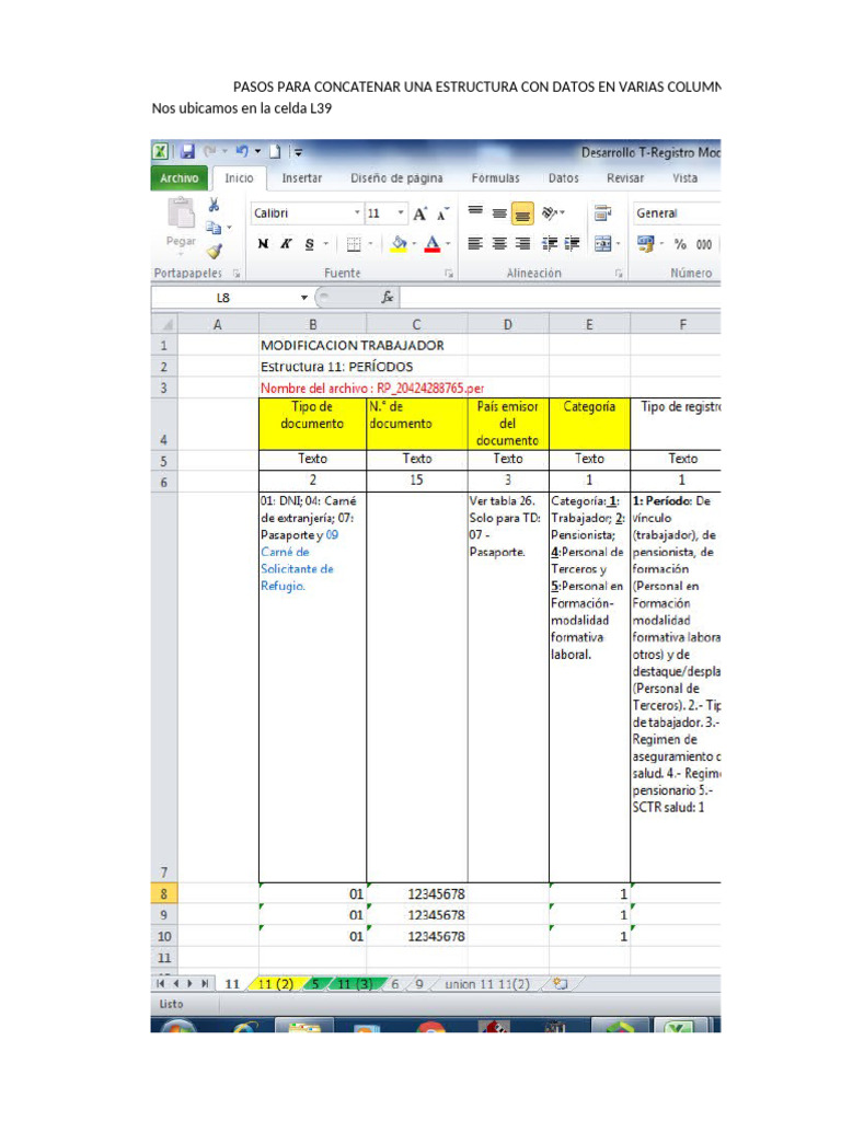 Pasos para Concatenar Datos | PDF | Informática | Software