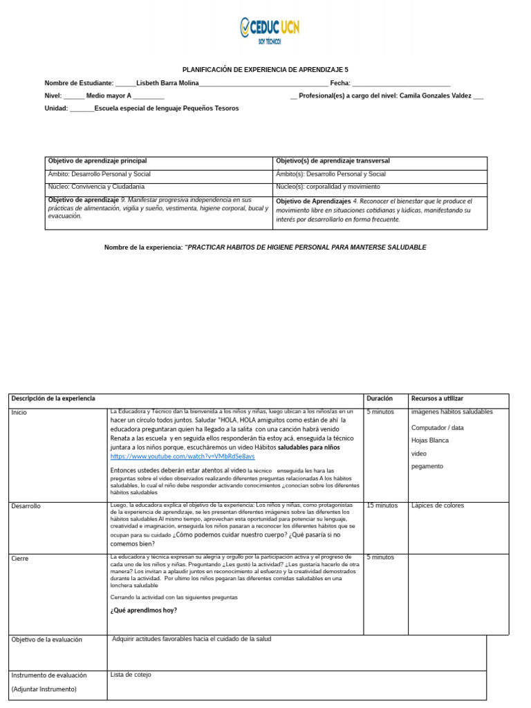 PLANIFICACIÓN DE EXPERIENCIA DE APRENDIZAJE Comidas Saludables 5 | PDF | Aprendizaje | Creatividad