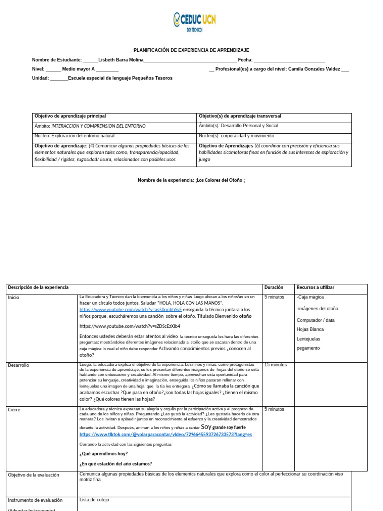 PLANIFICACIÓN DE EXPERIENCIA DE APRENDIZAJE Las Emociones 3 Entregada | PDF | Aprendizaje ...