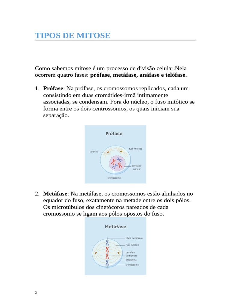 Tipos de Mitose | PDF