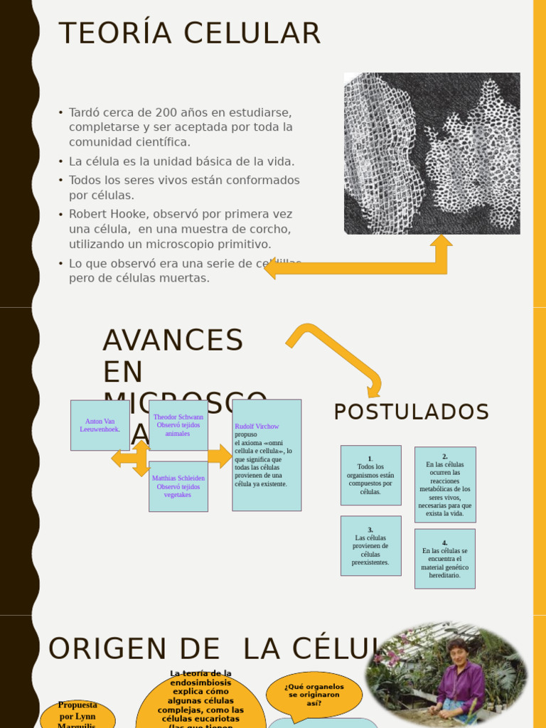 1.teoría Celular, Origen y Clasificación | PDF | Biología Celular ...