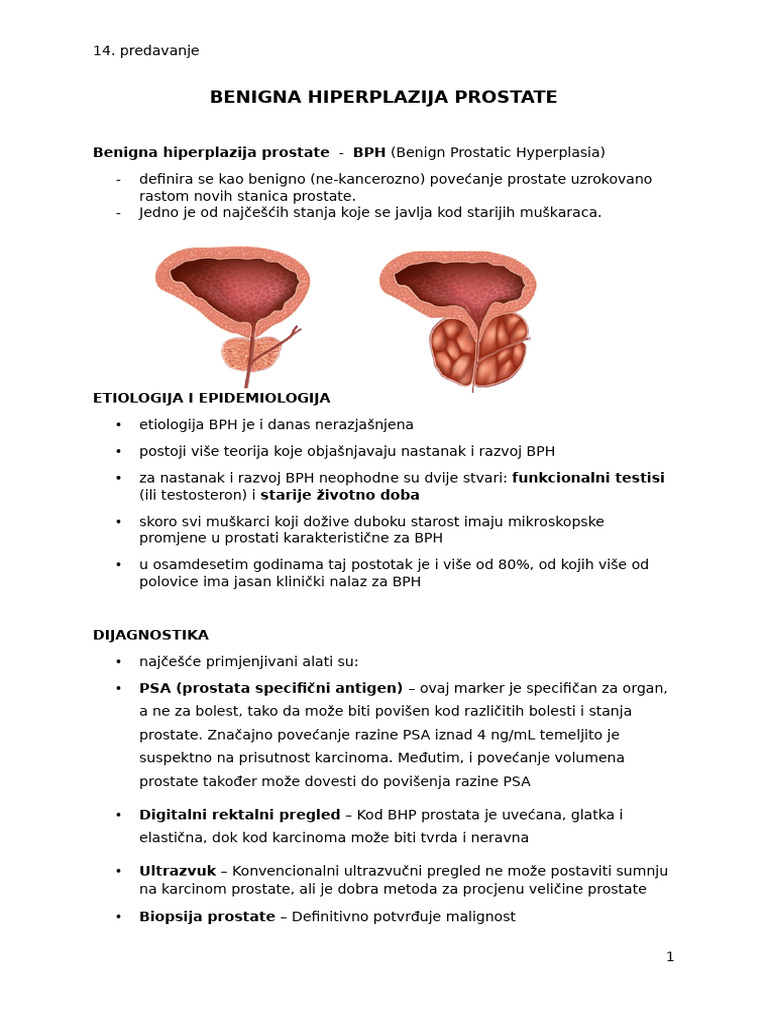 Predavanje - BENIGNA HIPERPLAZIJA PROSTATE | PDF