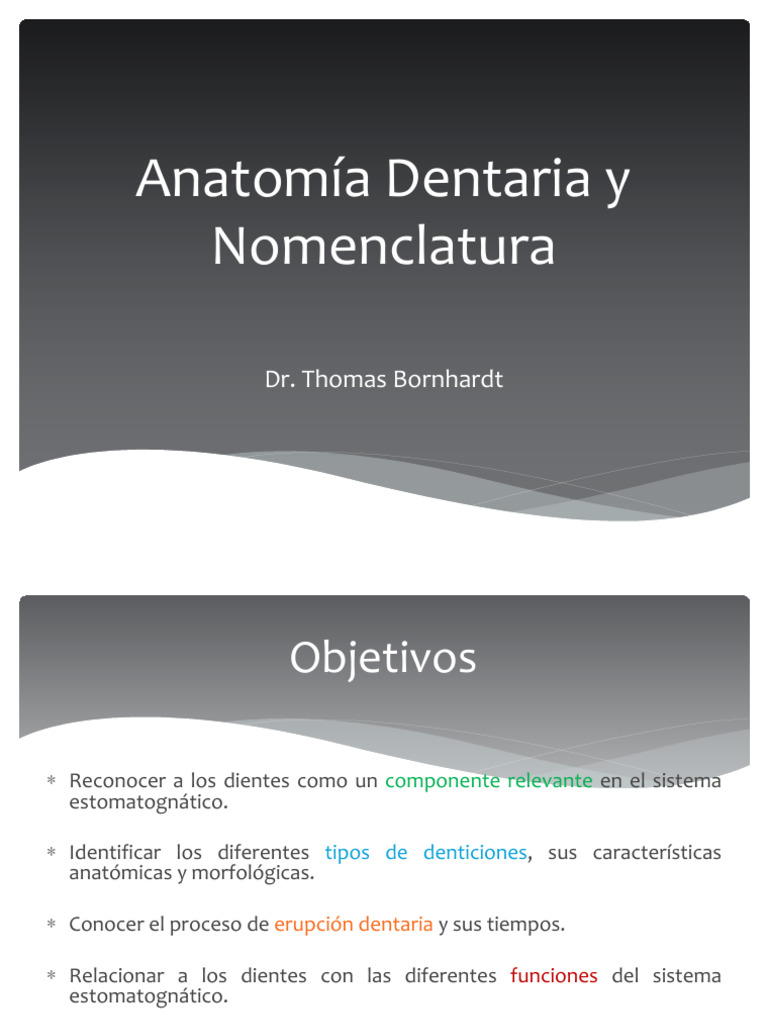 Anatomía Dentaria y Nomenclatura | PDF | Diente | Odontología