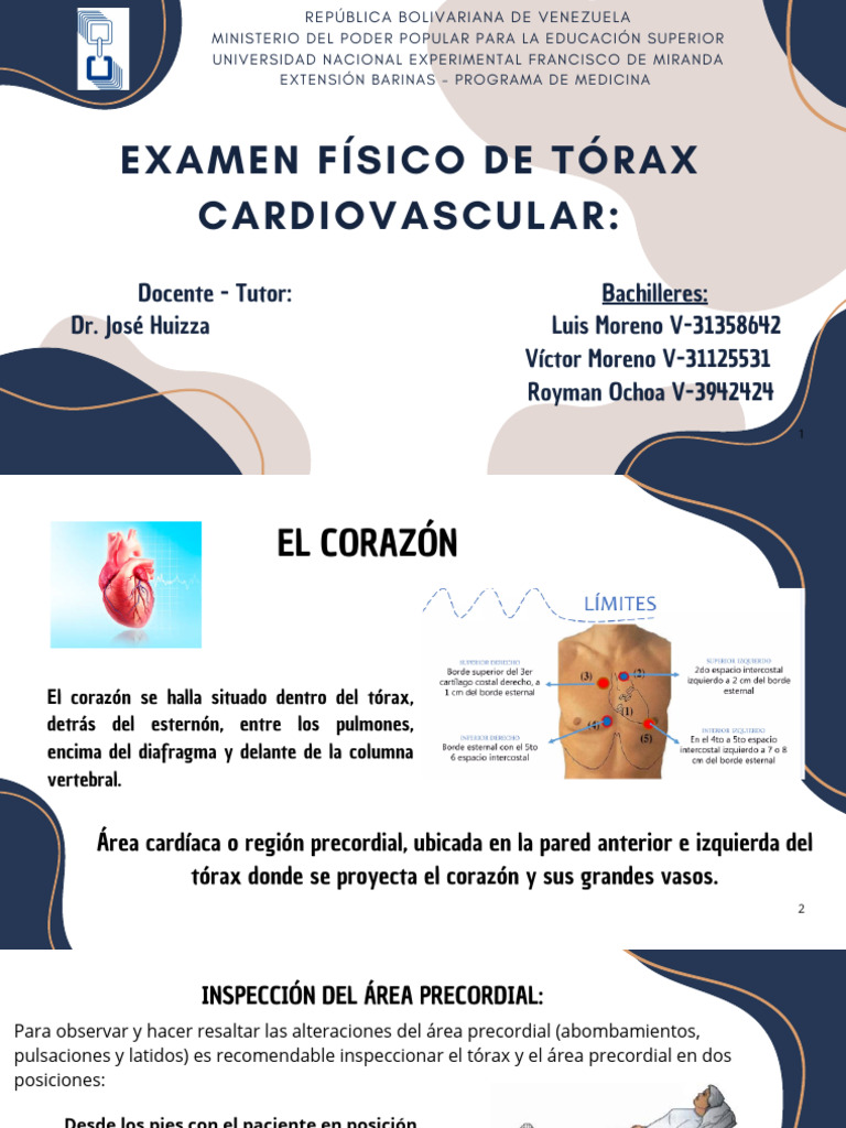 Area Precordial | PDF | Corazón | Tórax (anatomía humana)