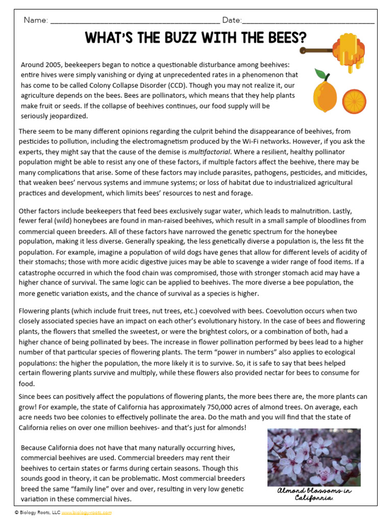 Bee Population Decline and Solutions | PDF | Bees | Pollination