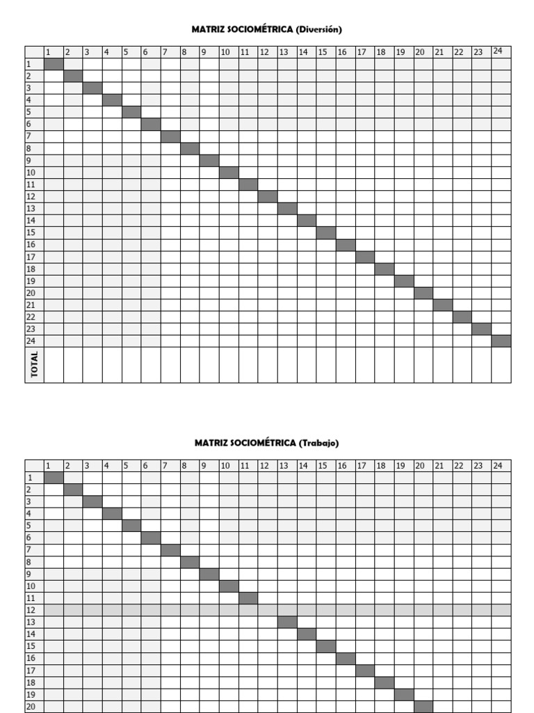 2formato Matriz Sociometrica | PDF