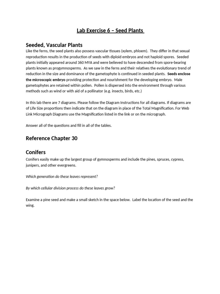 Lab Exercise: Seed Plants Overview | PDF | Flowers | Seed