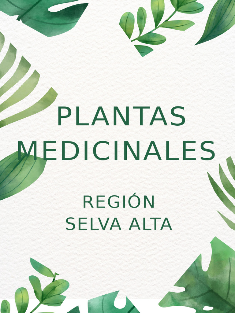 Plantas Medicinales Región Selva Alta | PDF | Clima | Geografía Física