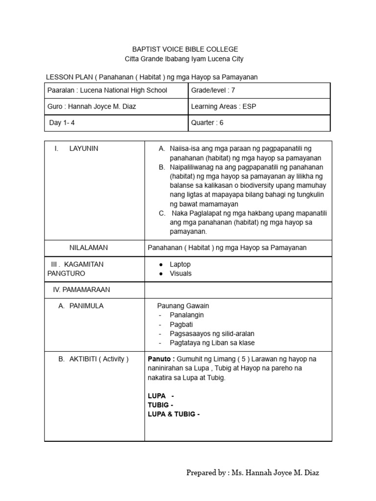 Lesson Plan (Esp) | PDF