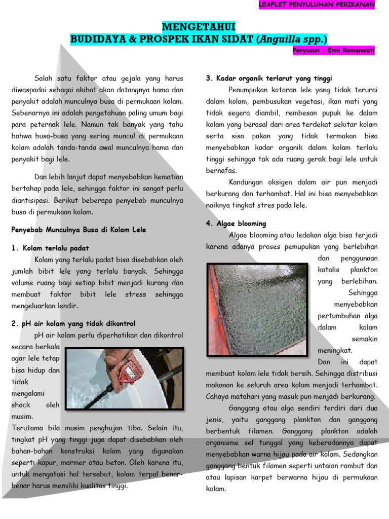 Leaflet 21 | PDF