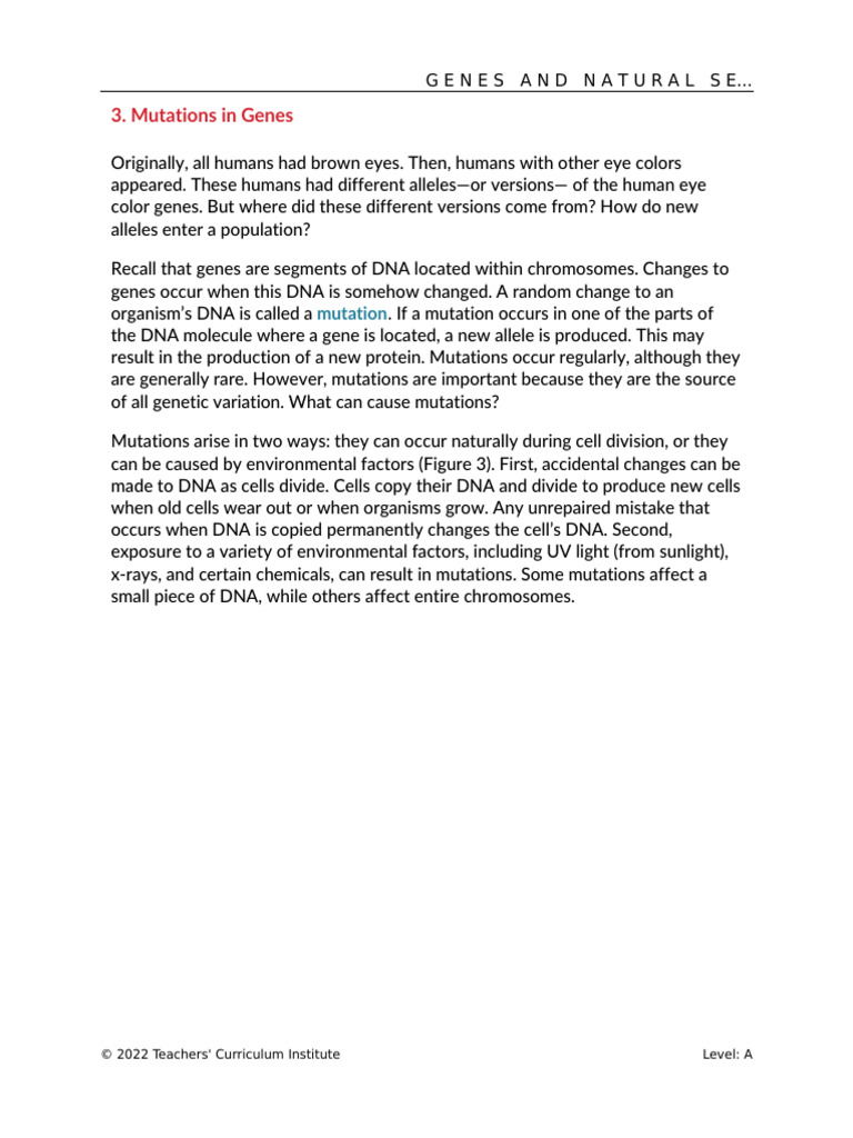 Max Schroeder - Mutation Reading Pgs 7-14.pdf - Kami | PDF | Mutation | Natural Selection