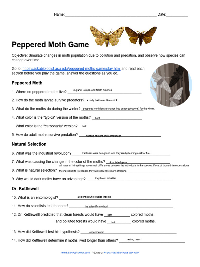 Max Schroeder - Peppered Moth PDF | PDF | Evolution | Evolutionary Biology