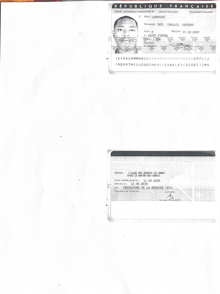 Carte D'identité Théo | PDF