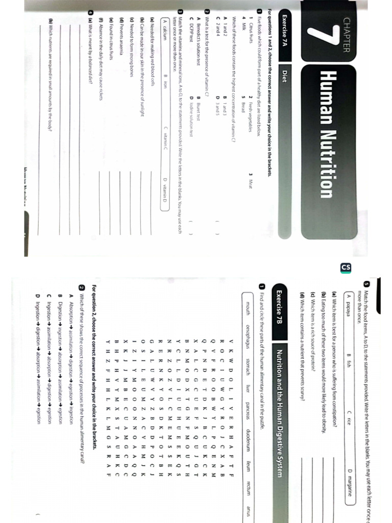 Bio C7 Human Nutrition | PDF