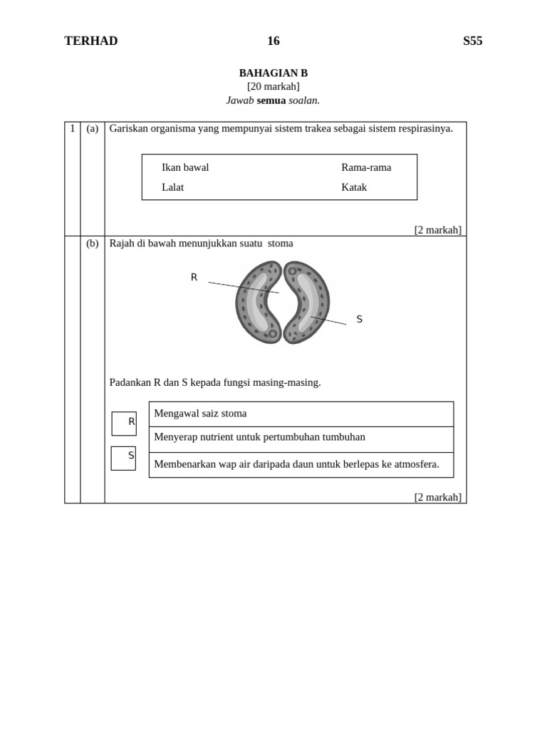 Uasa Bahagian B | PDF