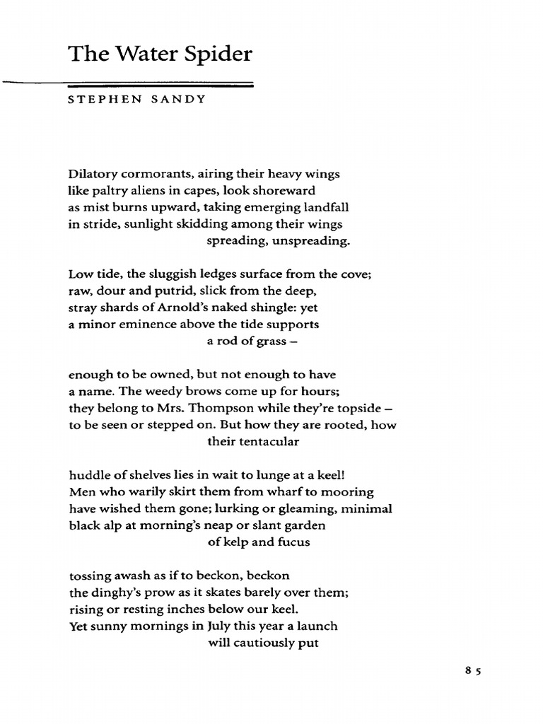 The Water Spider (Stephen Sandy) (Z-Library) | PDF