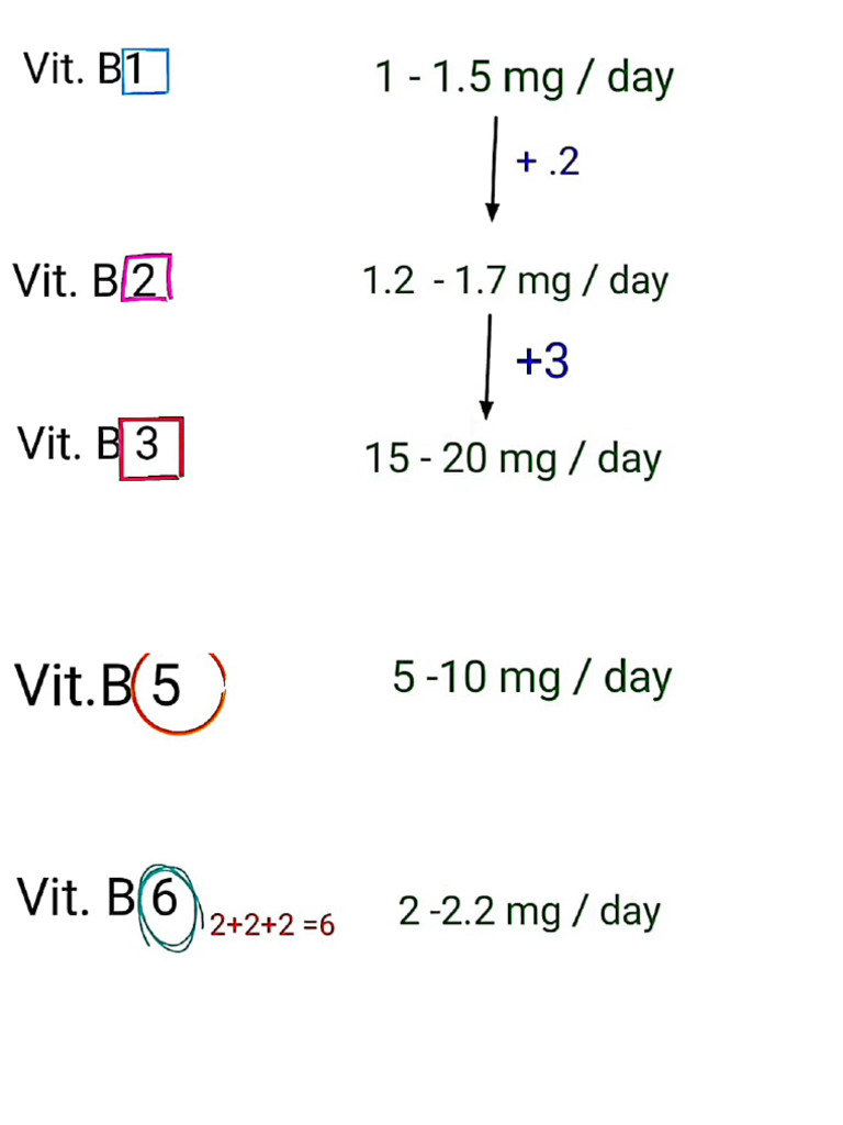 Daily Requirement 4 Vitamins | PDF