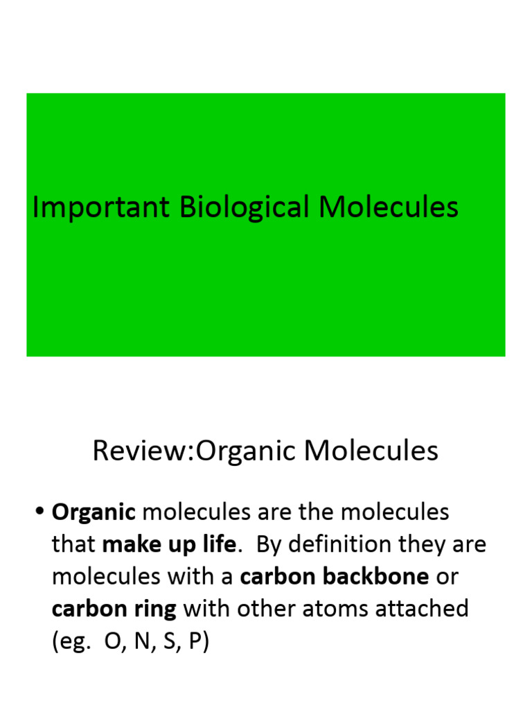 Important Biological Molecules | PDF | Nucleic Acids | Proteins