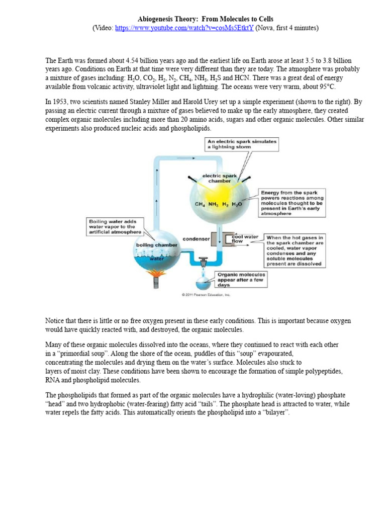 Molecules To Cells, Abiogenesis Note | PDF | Cell Membrane | Cell (Biology)
