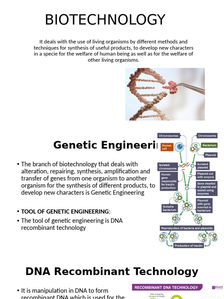 Biotech | PDF | Transfection | Plasmid