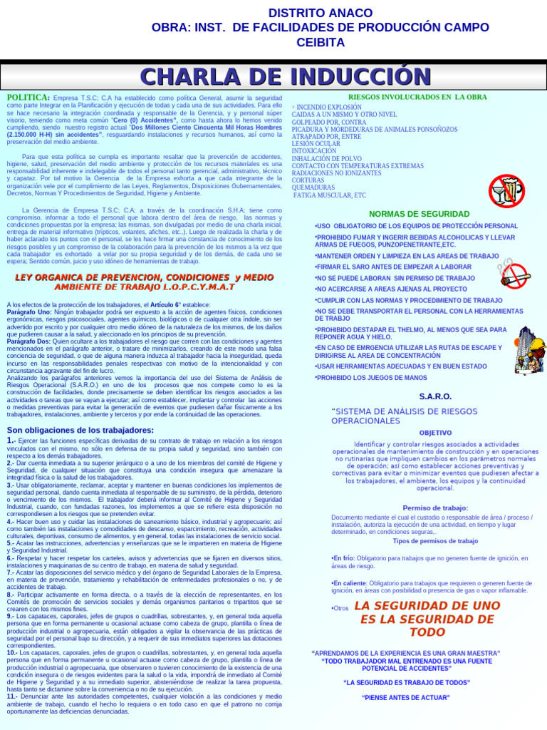 Charla de Inducción | PDF | Valores