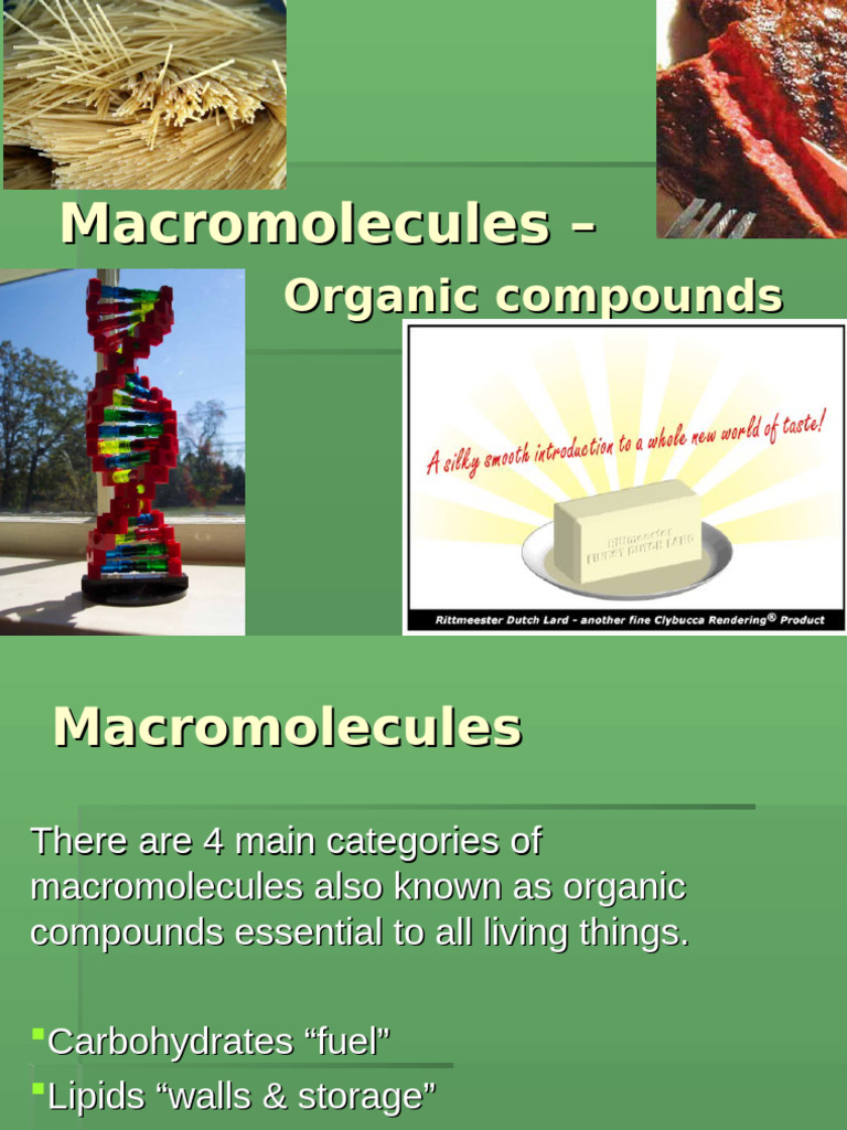 Macromolecules 2020 | PDF