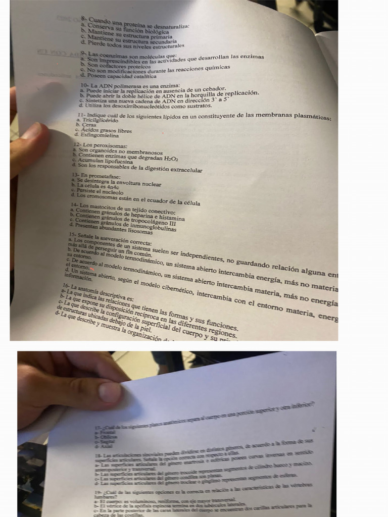 Similic_241129_103549 | PDF