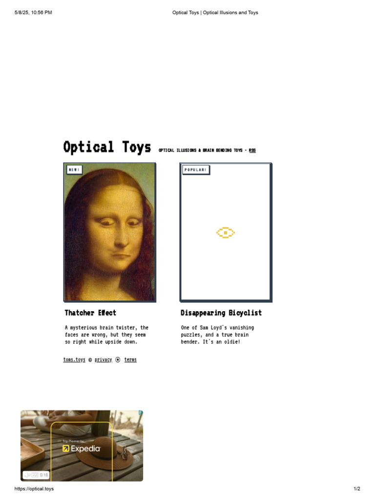 Optical Toys - Optical Illusions and Toys | PDF