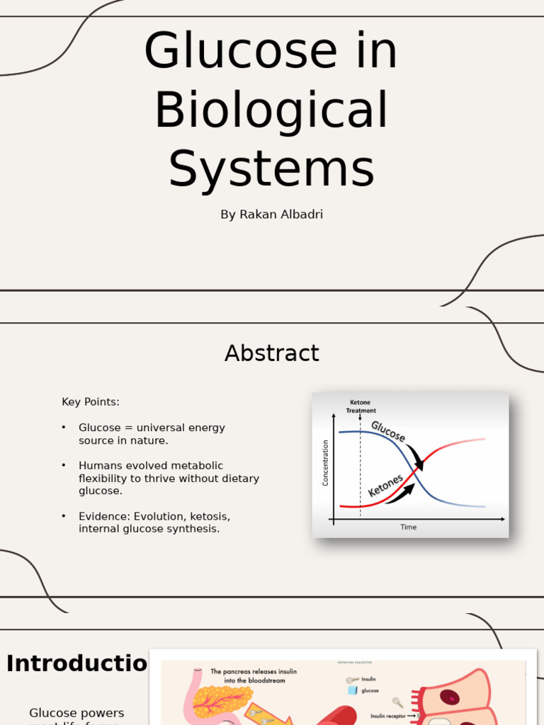 Glucose's Role in Human Metabolism | PDF